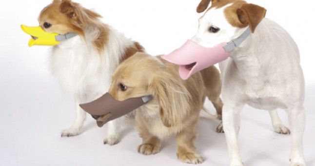 Les objets les plus bizarres d'Amazon | Leamstramgram